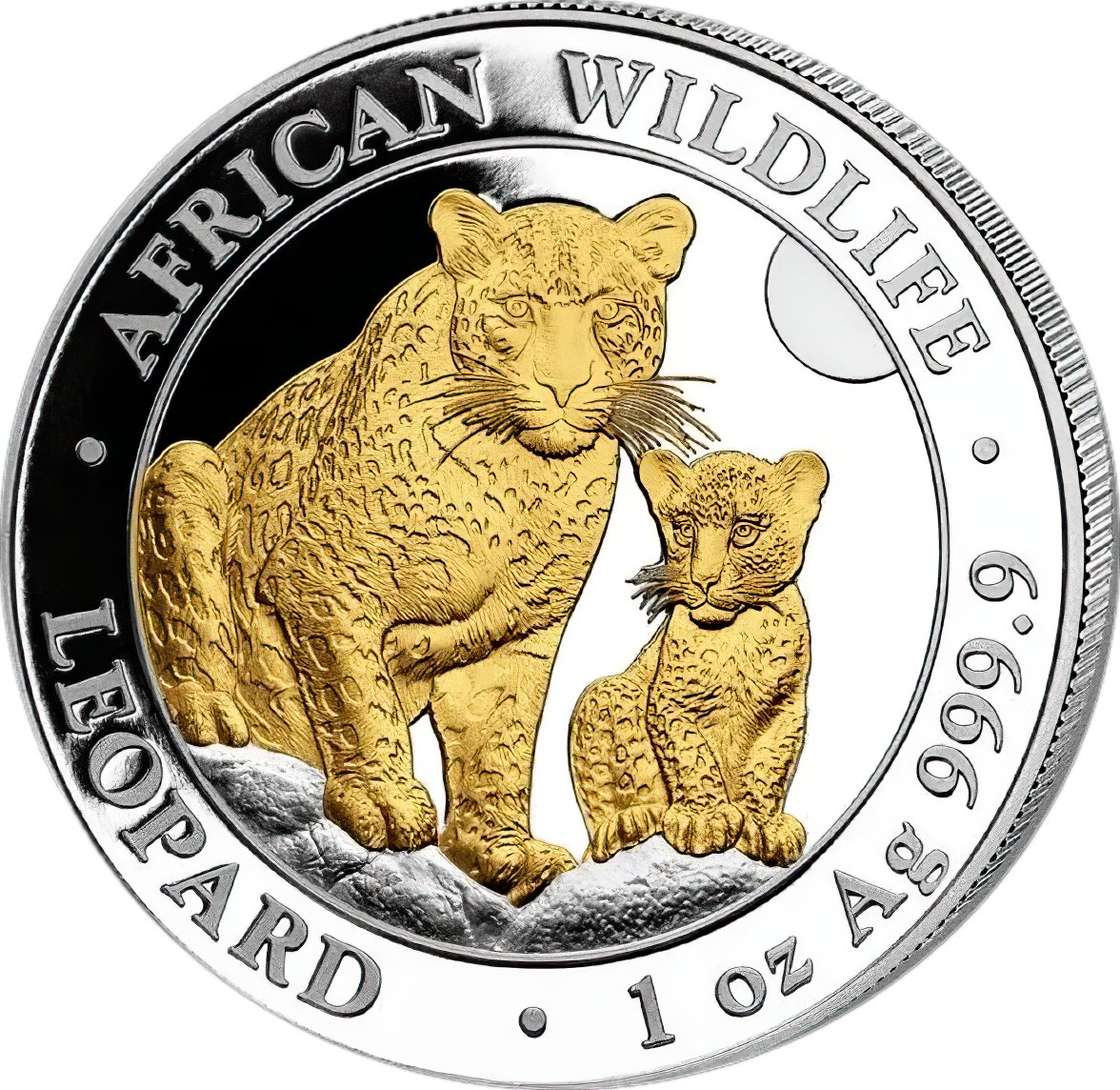 1 Unze Silber African Wildlife Leopard 2024 (Auflage: 5.000 ...