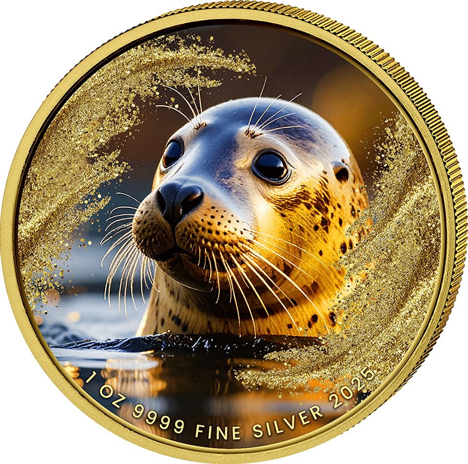 1 Unze Silber Seerobbe 2025 (Auflage: 100 | teilvergoldet)