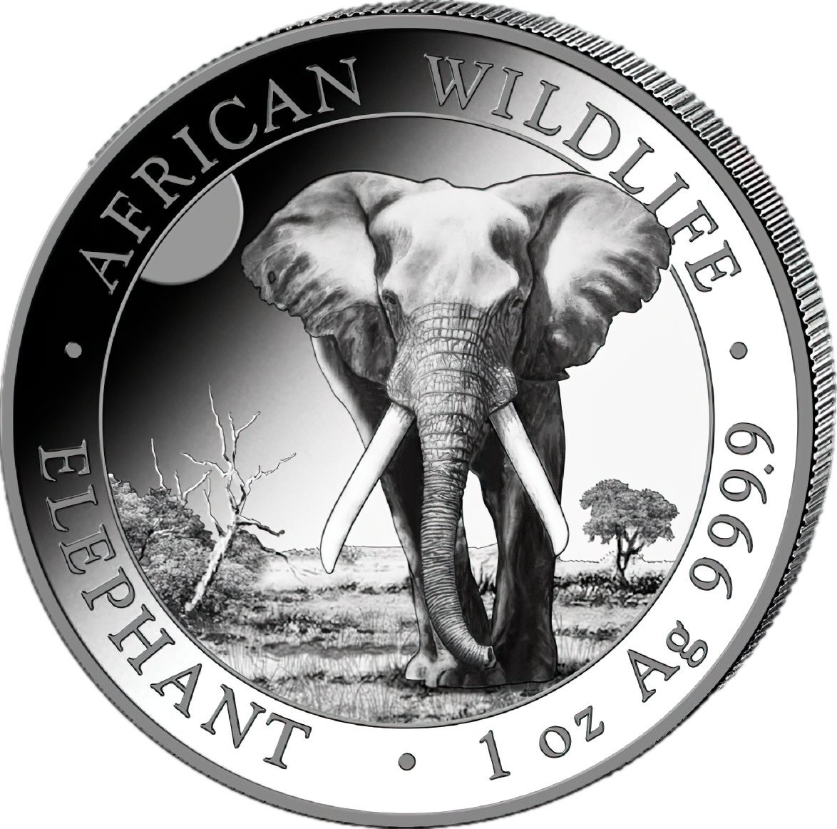 1 Unze Silber Somalia Elefant 2025