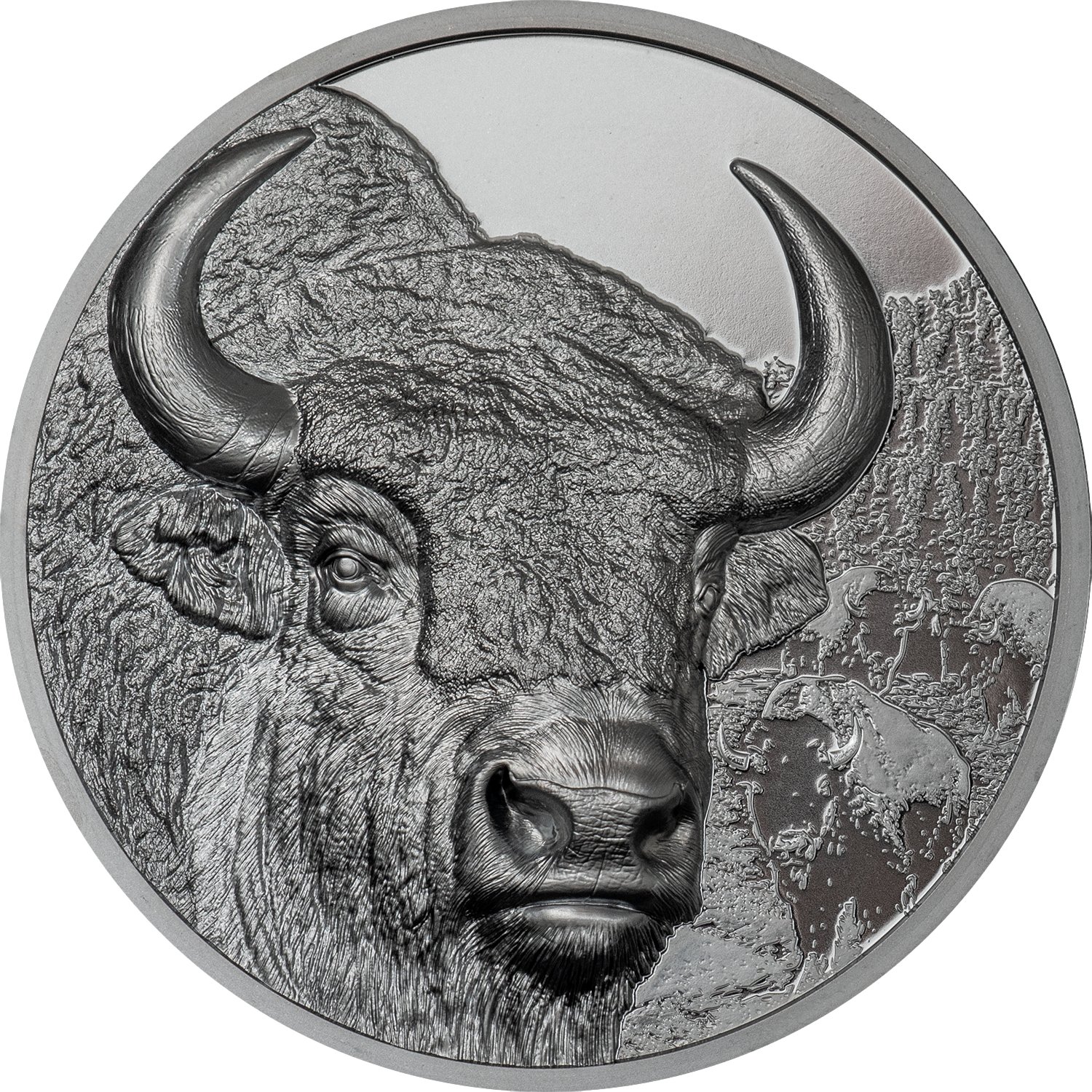 2 Unze Silber Mongolischer Bison 2025 (Auflage: 999 | High Relief ...