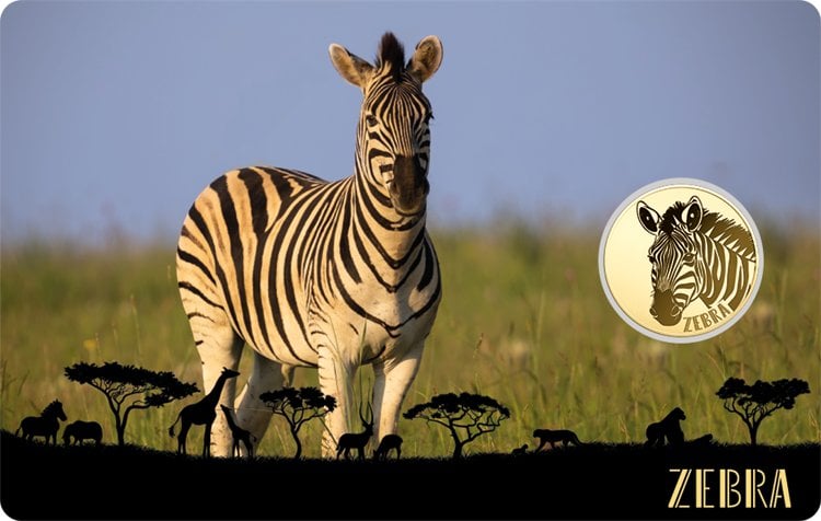 Gold Zebra Münze