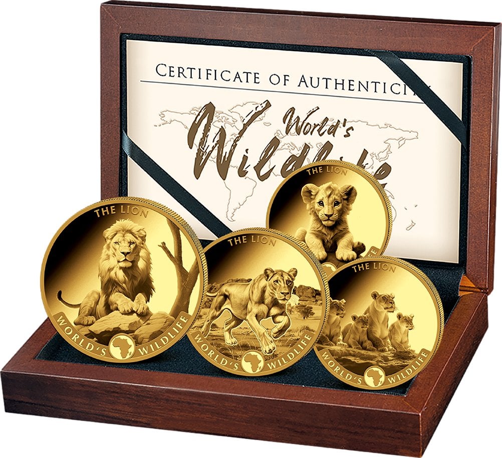 Gold Kongo World's Wildlife Löwe Set Löwe 2025 (Auflage: 300 | Polierte Platte)